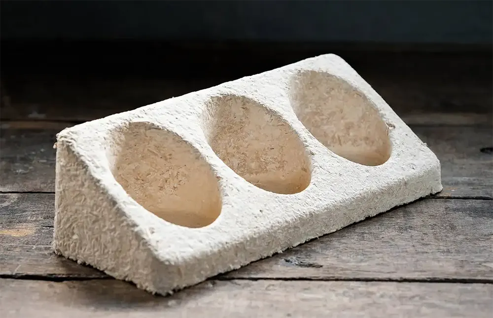 Mycelium Tray Care Guide - Wild England